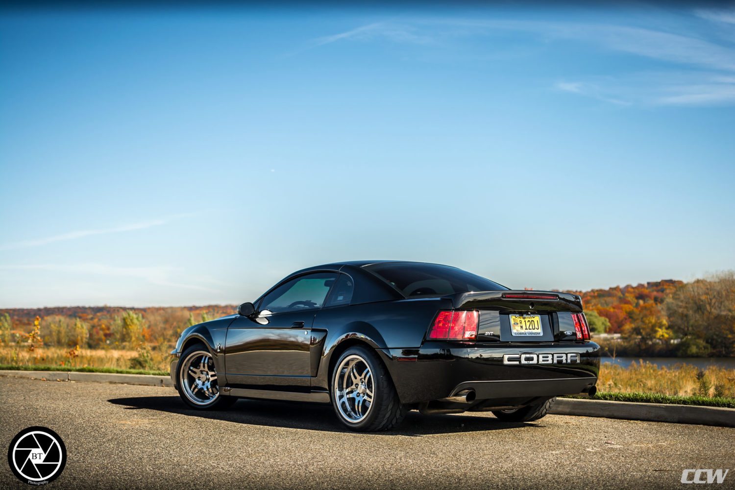 Black Ford Mustang Shelby Cobra - CCW SP505 Forged Wheels - CCW Wheels